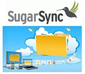 What Came First: The Cloud or Mobile Workers? SugarSync CEO Finds the Balance - SiliconANGLE